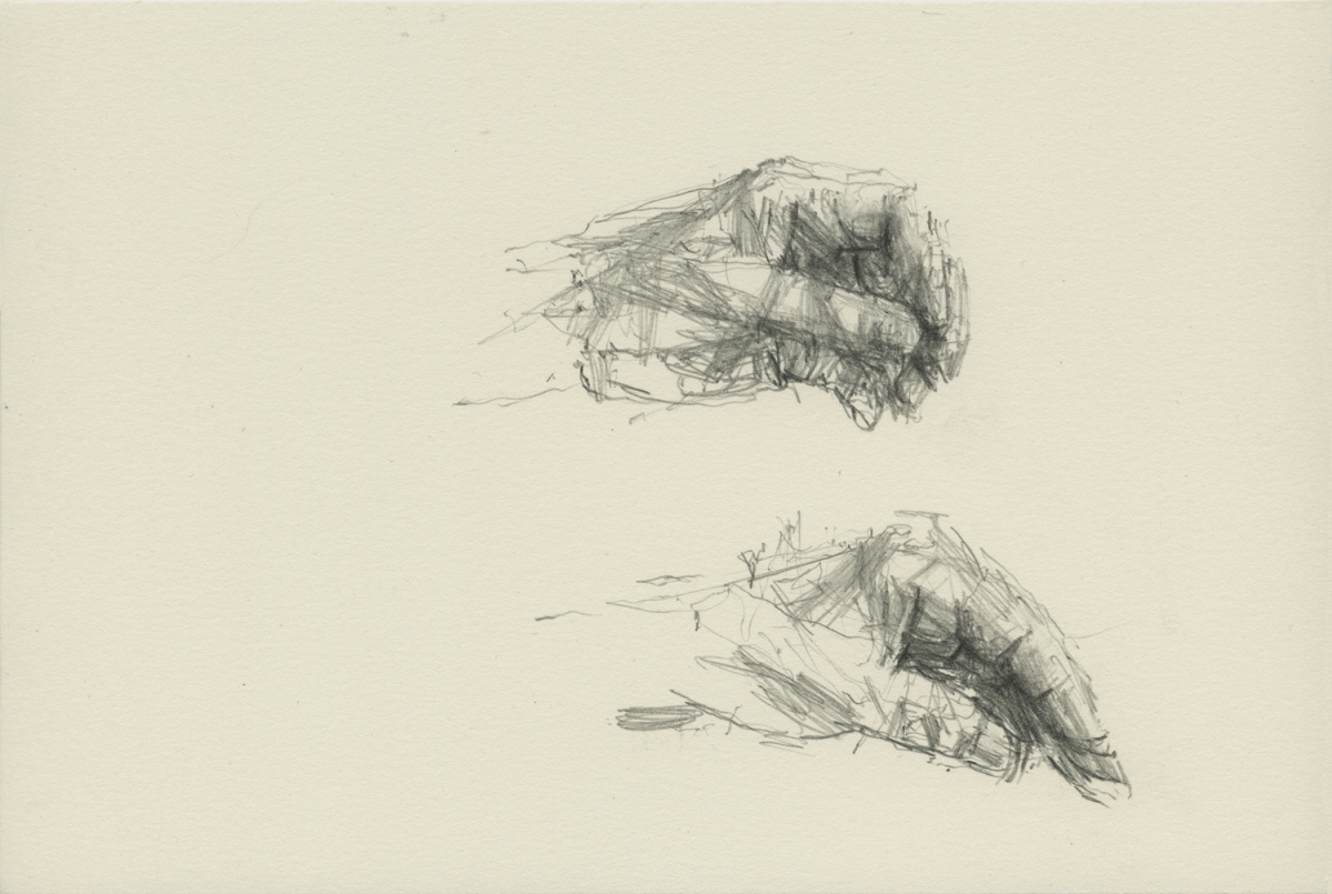 Looking Closely with Dryden Goodwin - Drawing Room