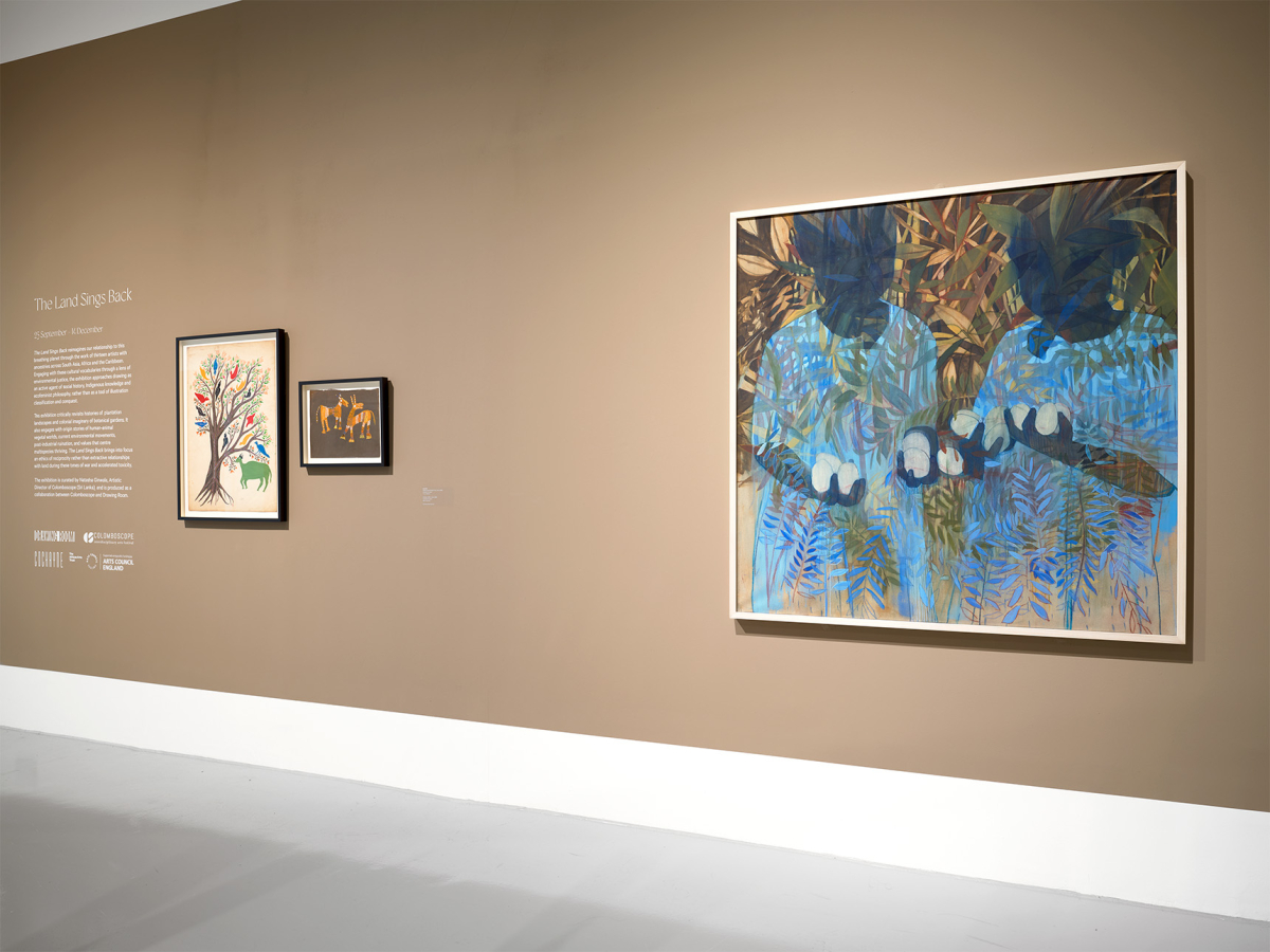 The Land Sings Back - Drawing Room