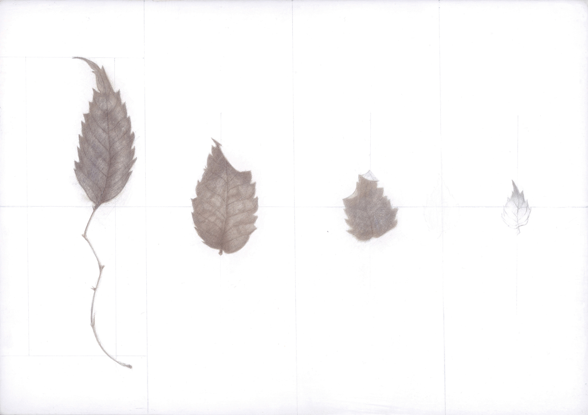 Drawing Club: Adrian Haak - Drawing Room